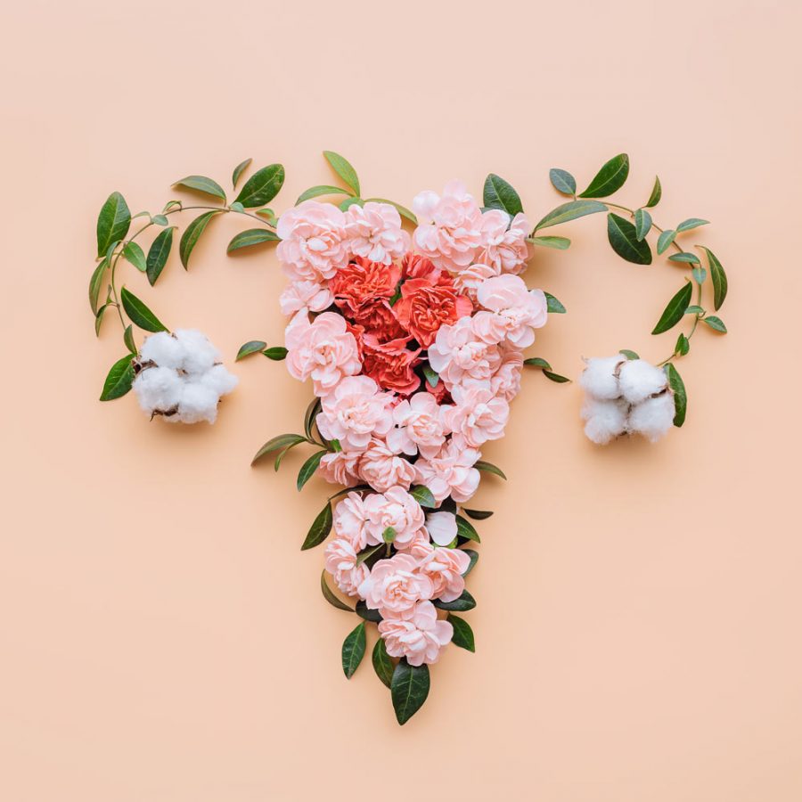 Private Gynaecologist in London – The Gynae Centre